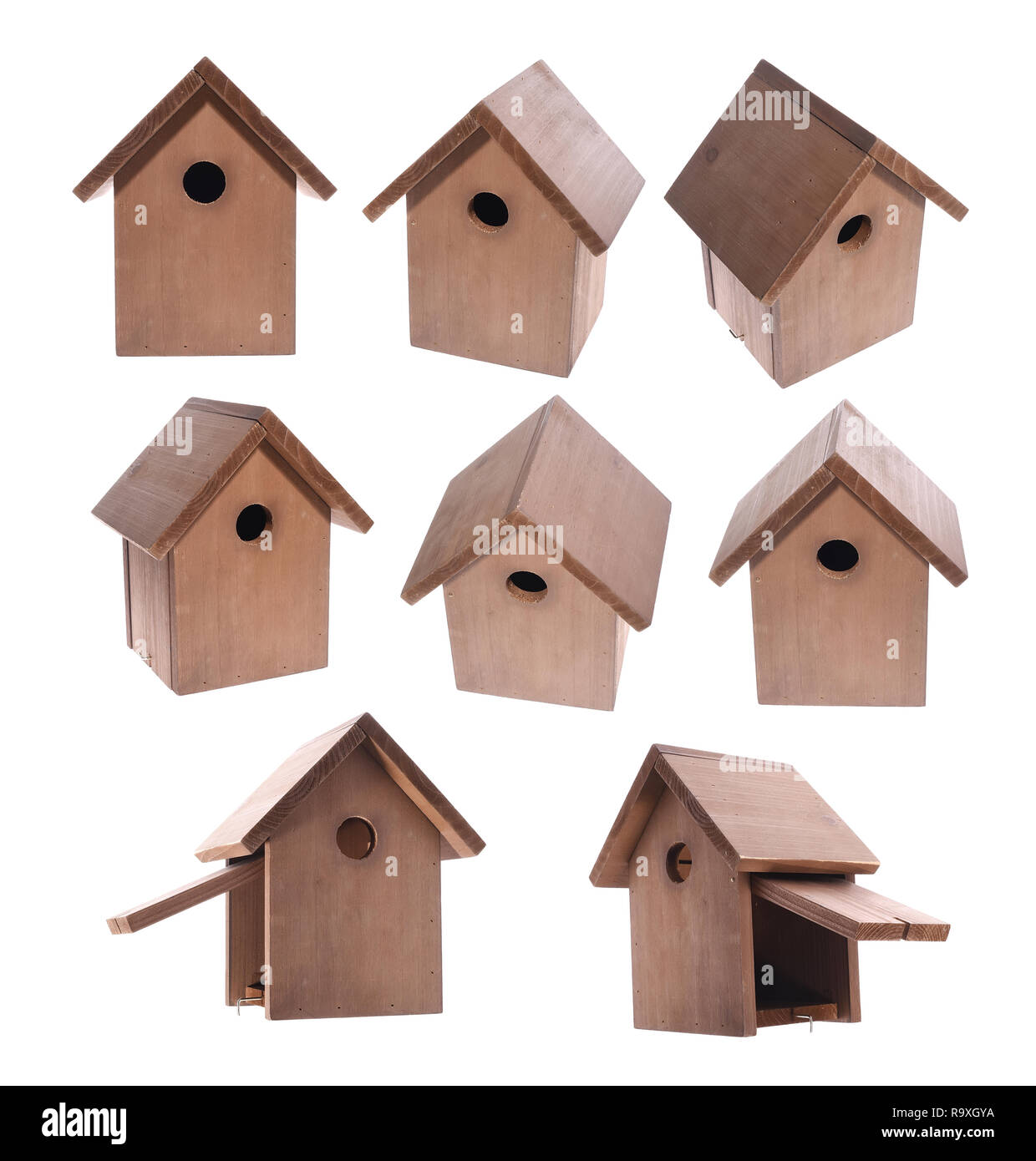 Bird nest tree hole Cut Out Stock Images & Pictures - Alamy