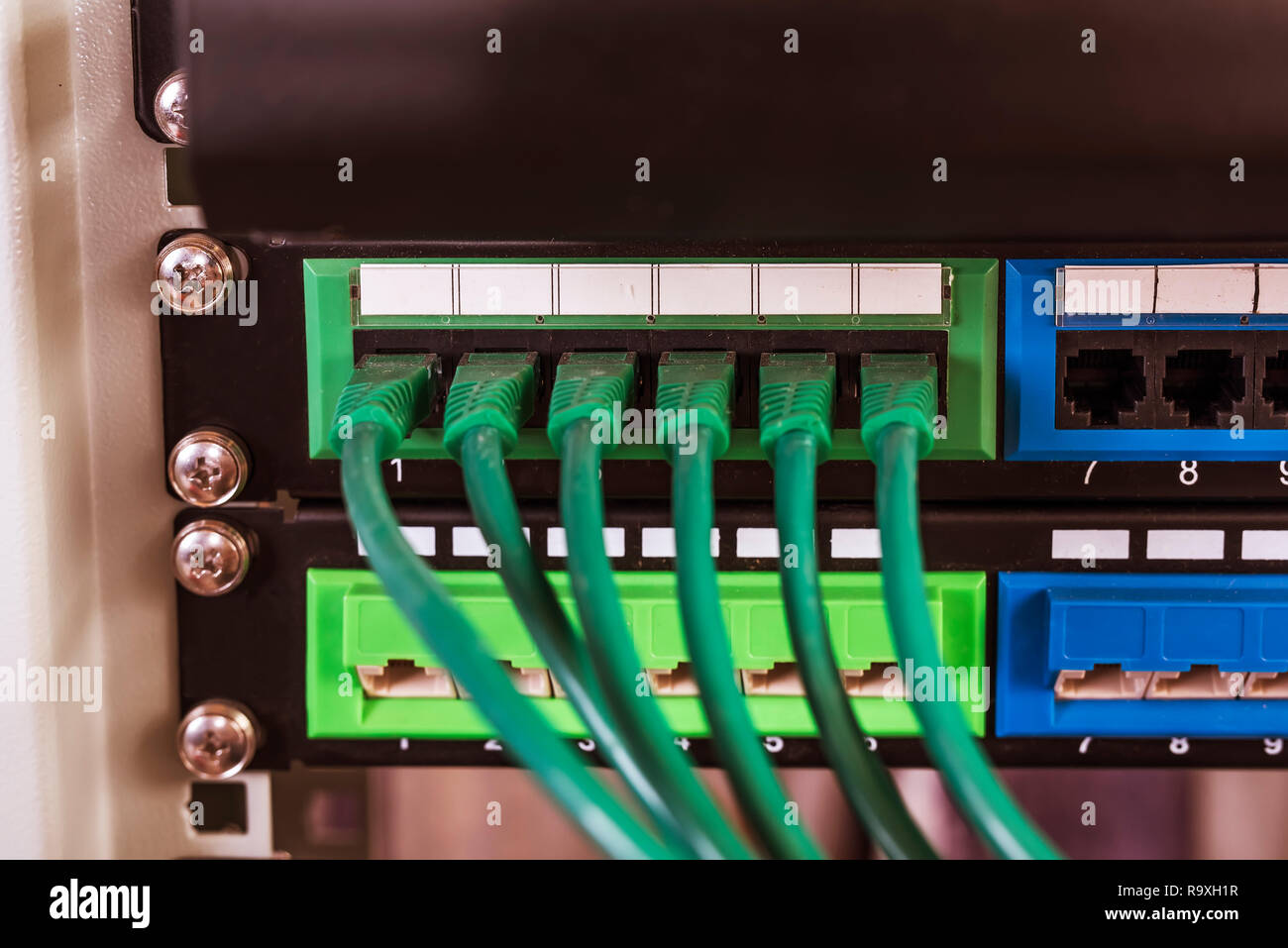 ethernet cable on network switches background Stock Photo - Alamy