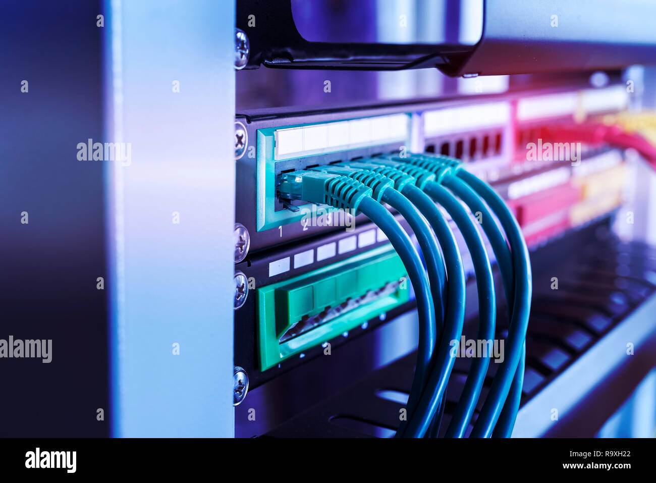 ethernet cable on network switches background Stock Photo - Alamy