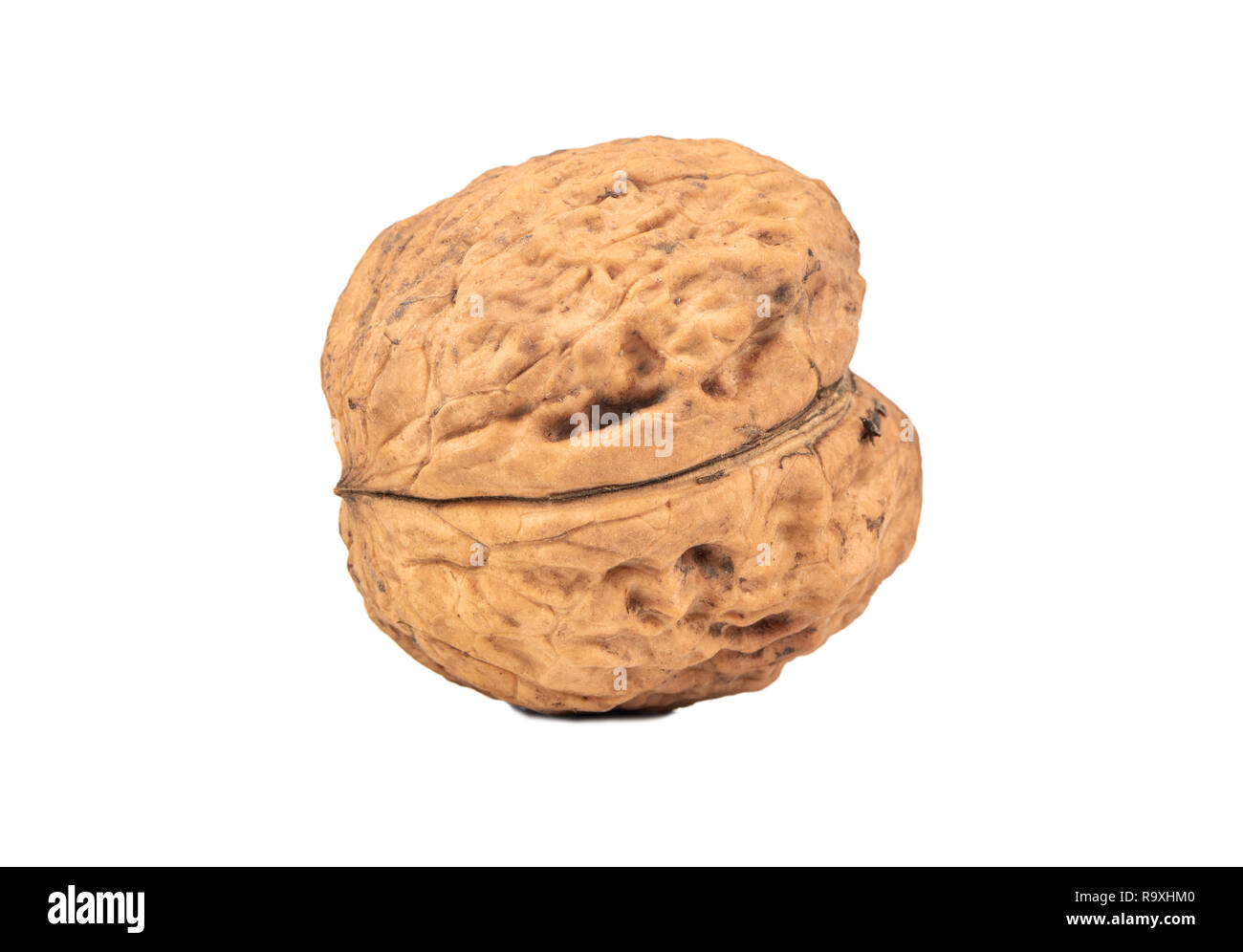 Dry large walnut isolated on white background Stock Photo - Alamy