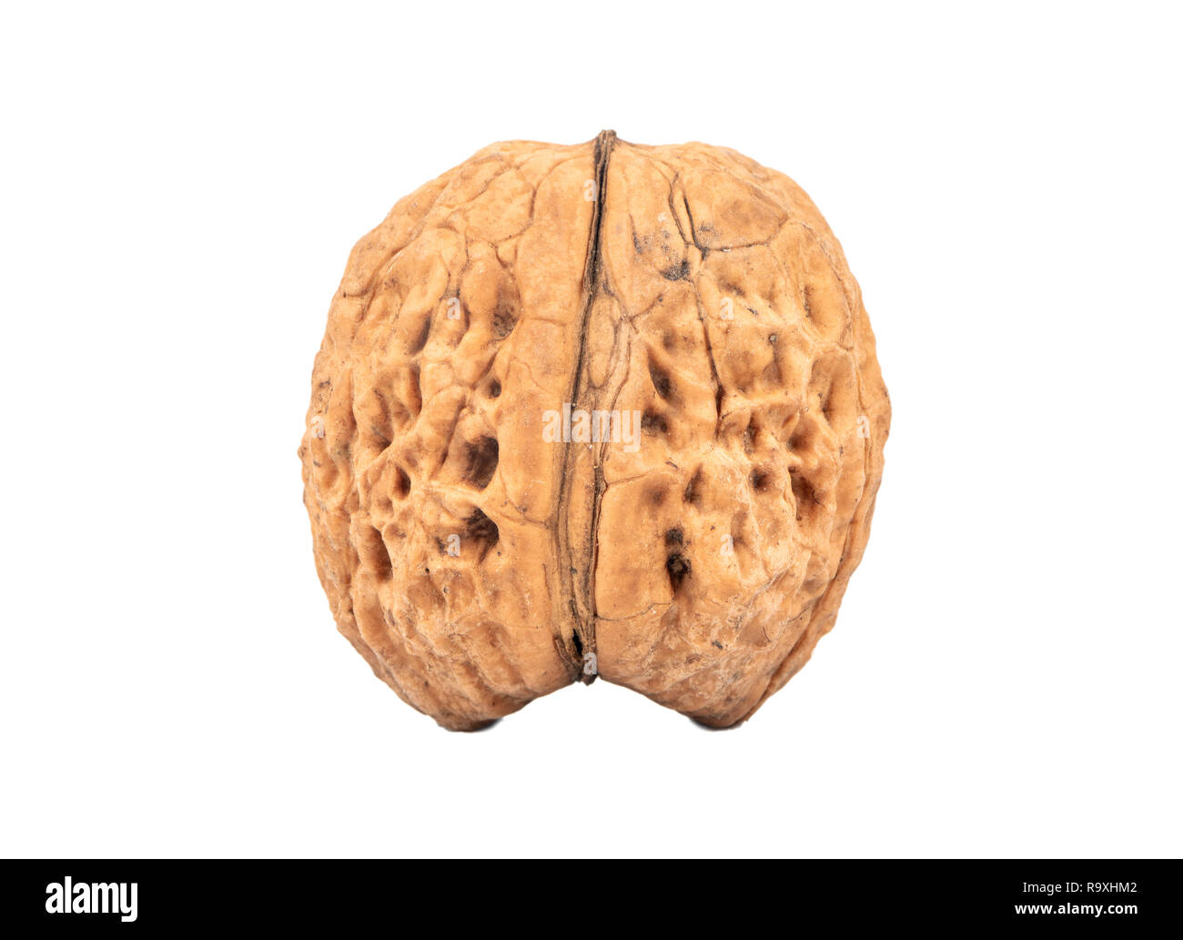 Dry big walnut isolated on white background Stock Photo - Alamy