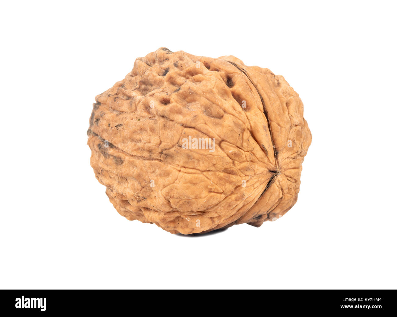 Dry large walnut isolated on white background Stock Photo - Alamy