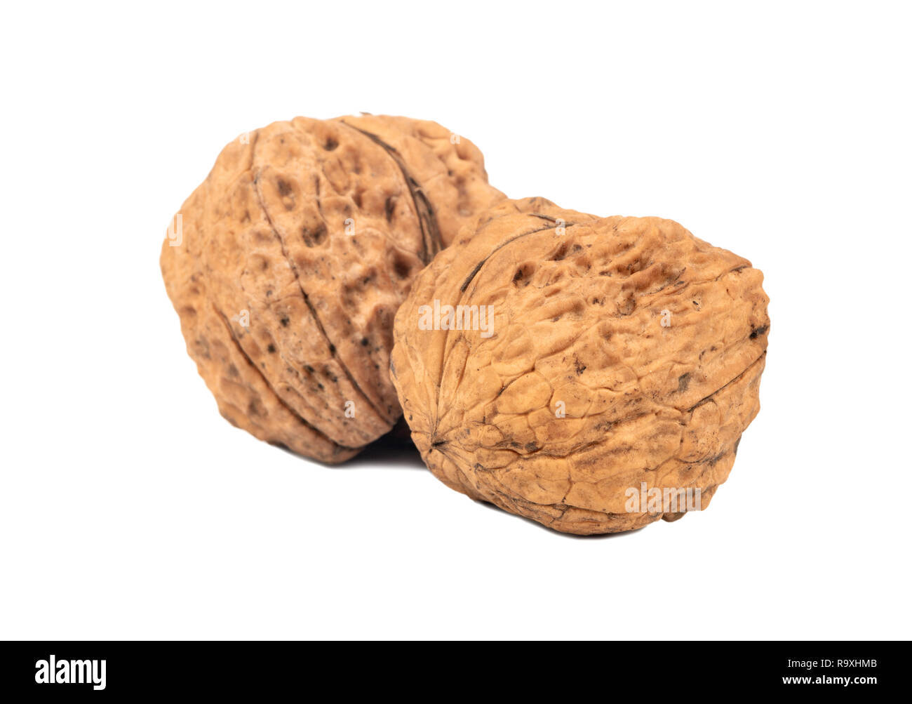 Two dry big walnuts on white background Stock Photo - Alamy