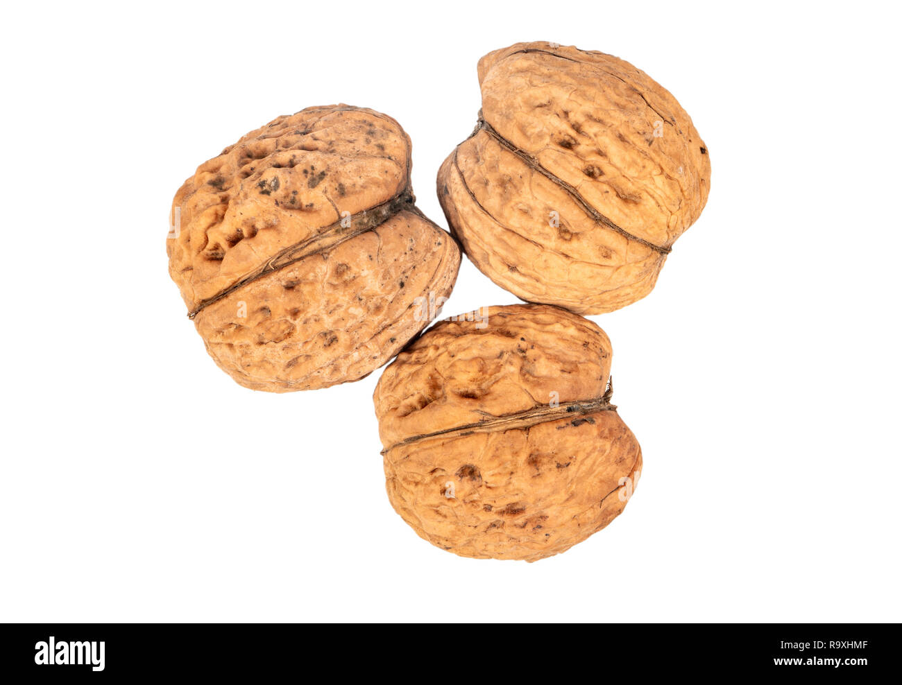 Three dry big walnuts on white background, top view Stock Photo - Alamy