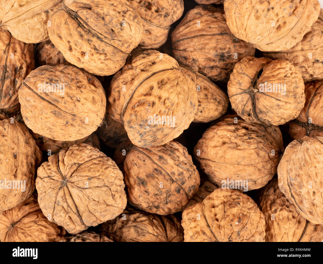 Walnuts in the shell hi-res stock photography and images - Alamy