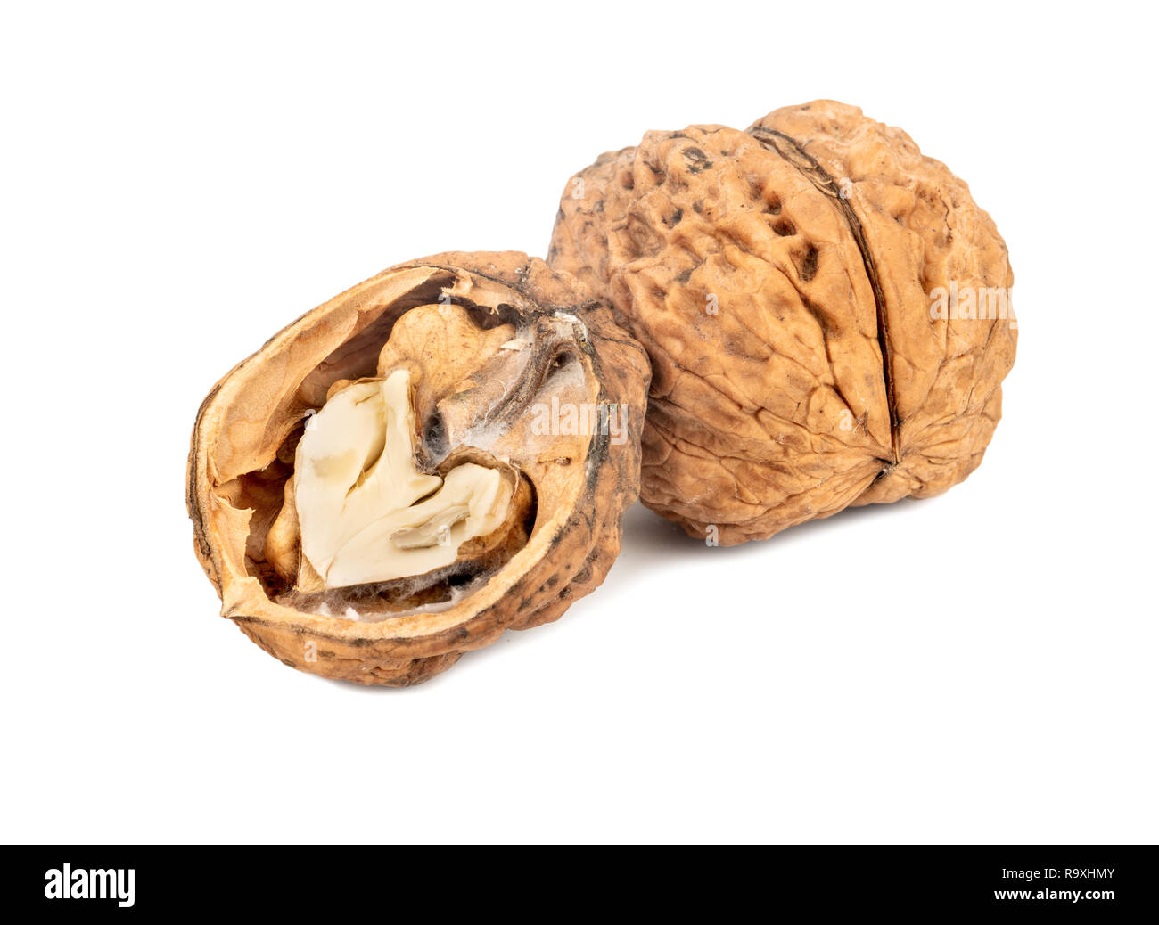 Dry walnut with half isolated on white background Stock Photo - Alamy