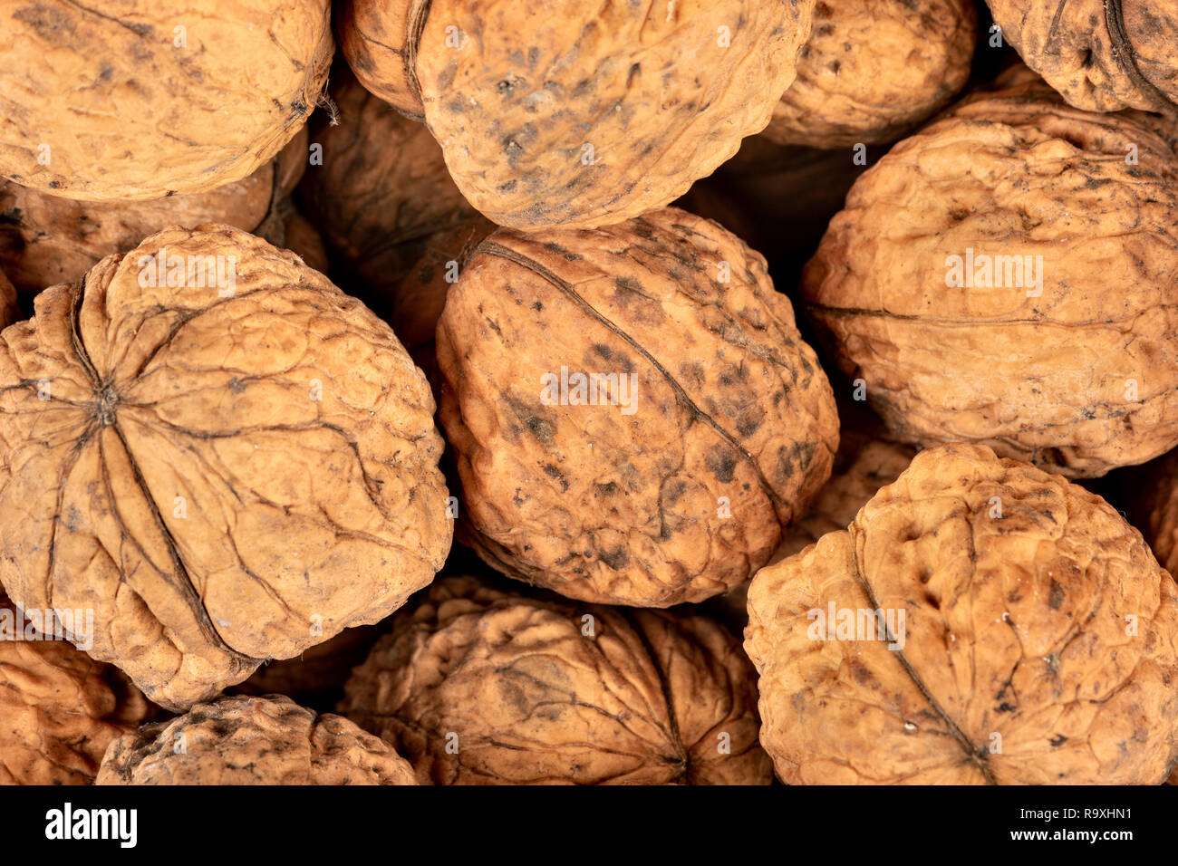 Walnuts in the shell hi-res stock photography and images - Alamy