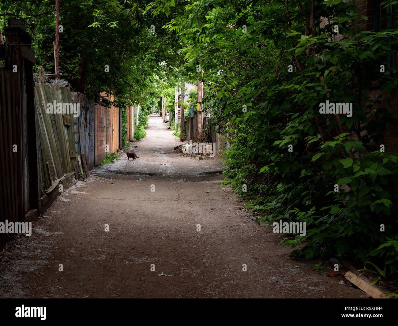 Bustling alley hi-res stock photography and images - Alamy