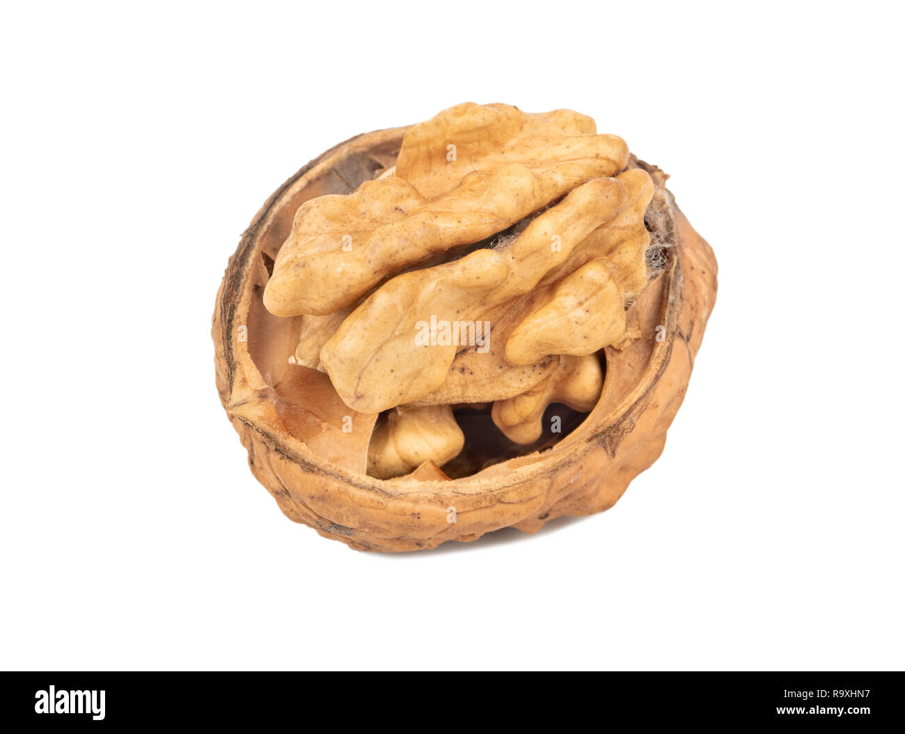 Half of dry walnut isolated on white background Stock Photo - Alamy