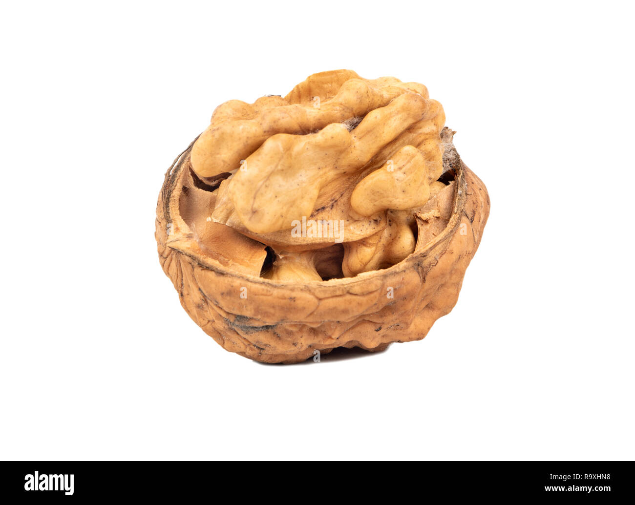 Half of dry walnut isolated on white background Stock Photo - Alamy
