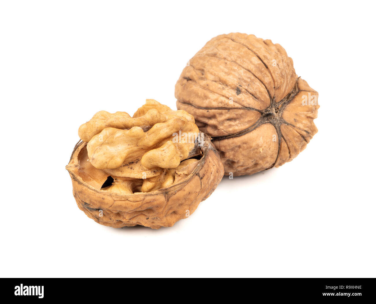 Dry walnut with half isolated on white background Stock Photo - Alamy