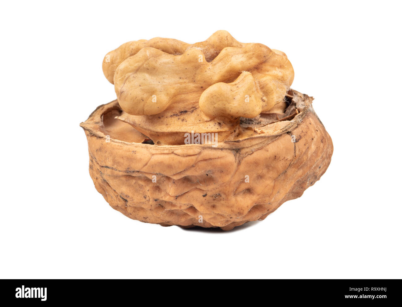Half of dry walnut closeup isolated on white background Stock Photo - Alamy