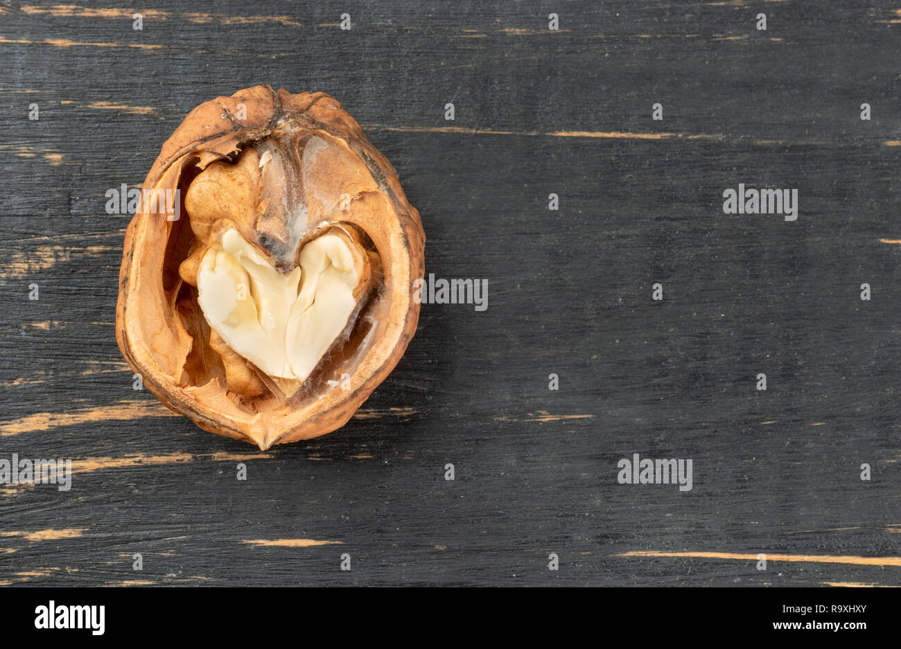 Walnut Shell Empty High Resolution Stock Photography and Images - Alamy