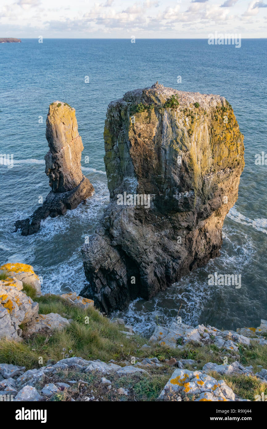 Stack Rocks, Castlemartin, Pembrokeshire, Wales Stock Photo - Alamy