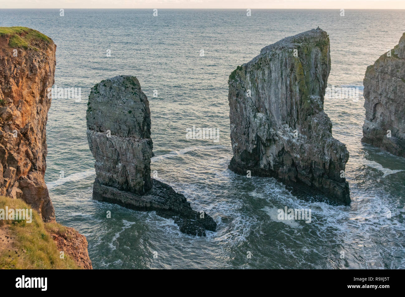 Stackpole and castlemartin hi-res stock photography and images - Alamy