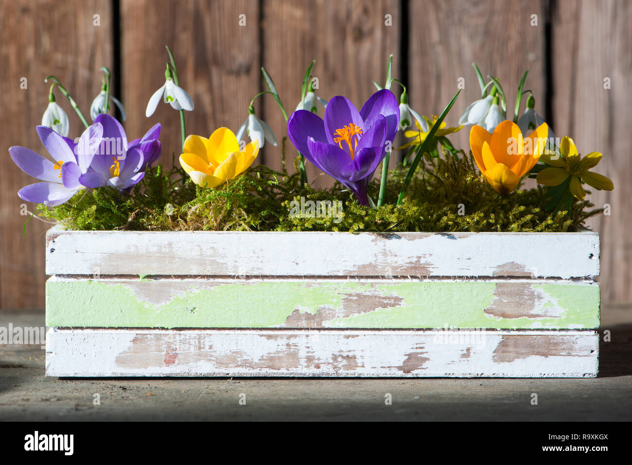 Colorful spring flowers in a wooden pot Stock Photo - Alamy
