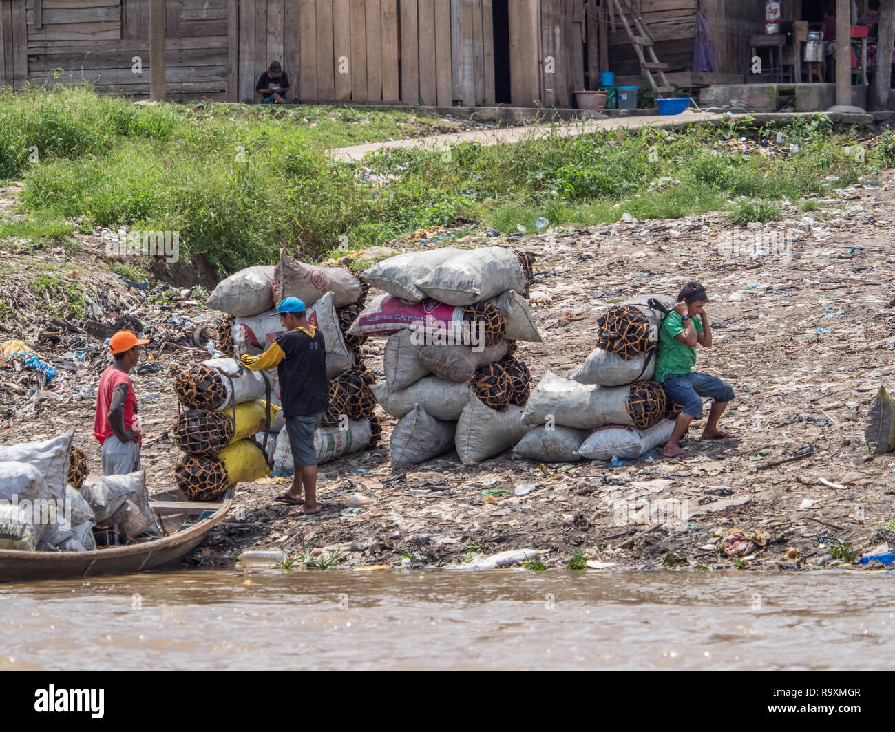 Jungle pollution hi-res stock photography and images - Alamy