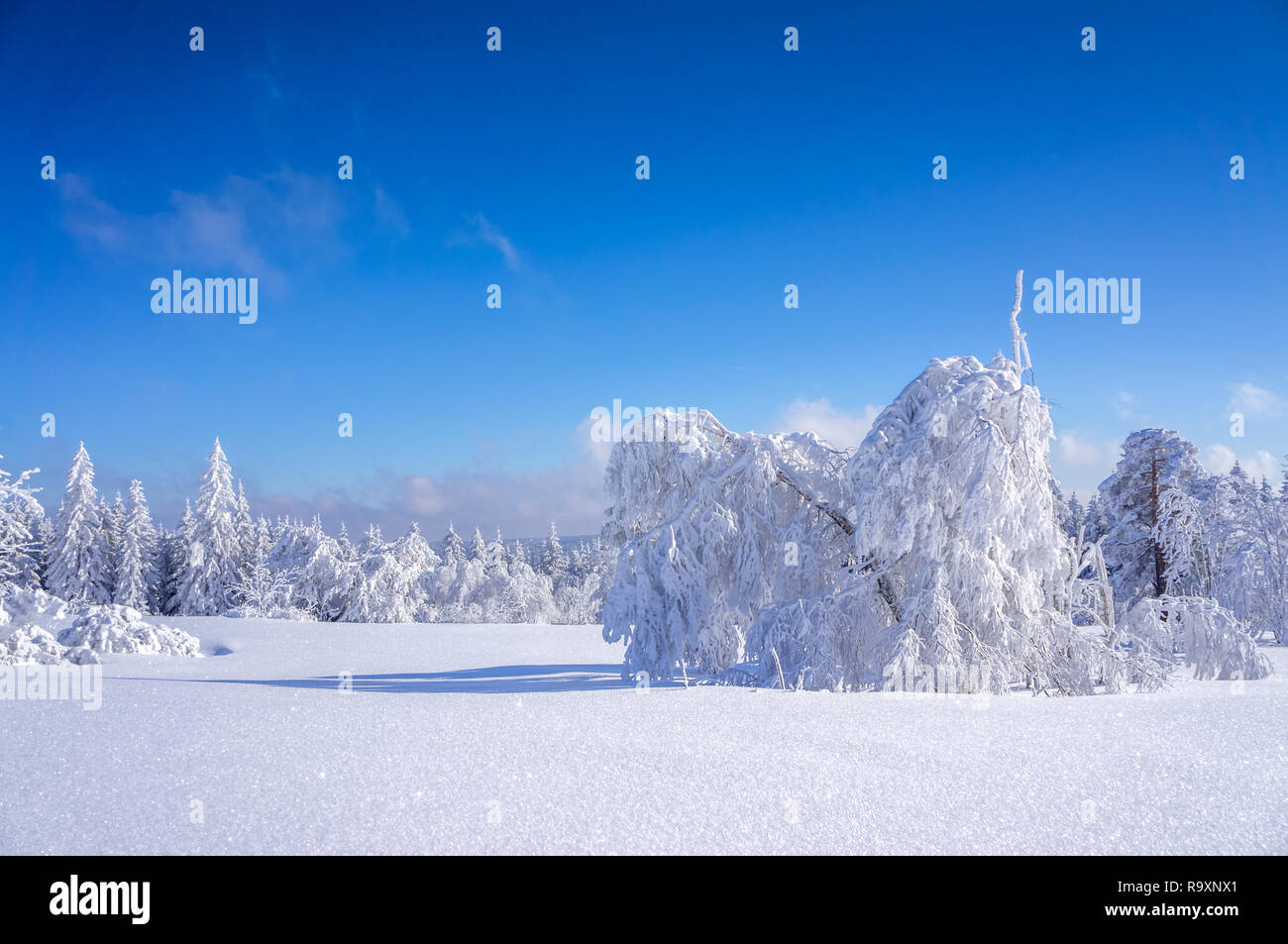 Winterberg hi-res stock photography and images - Alamy
