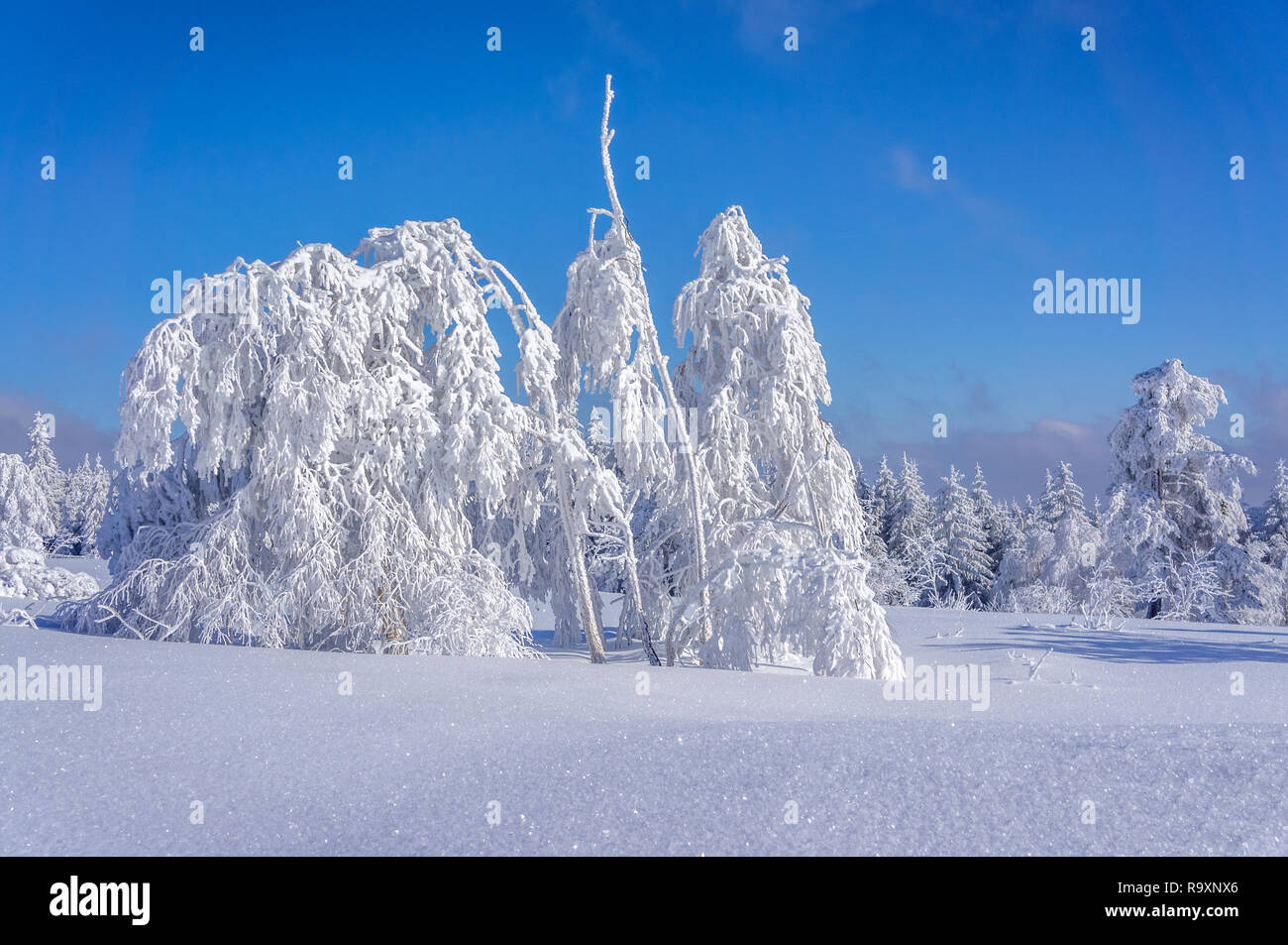 Winterberg hi-res stock photography and images - Alamy