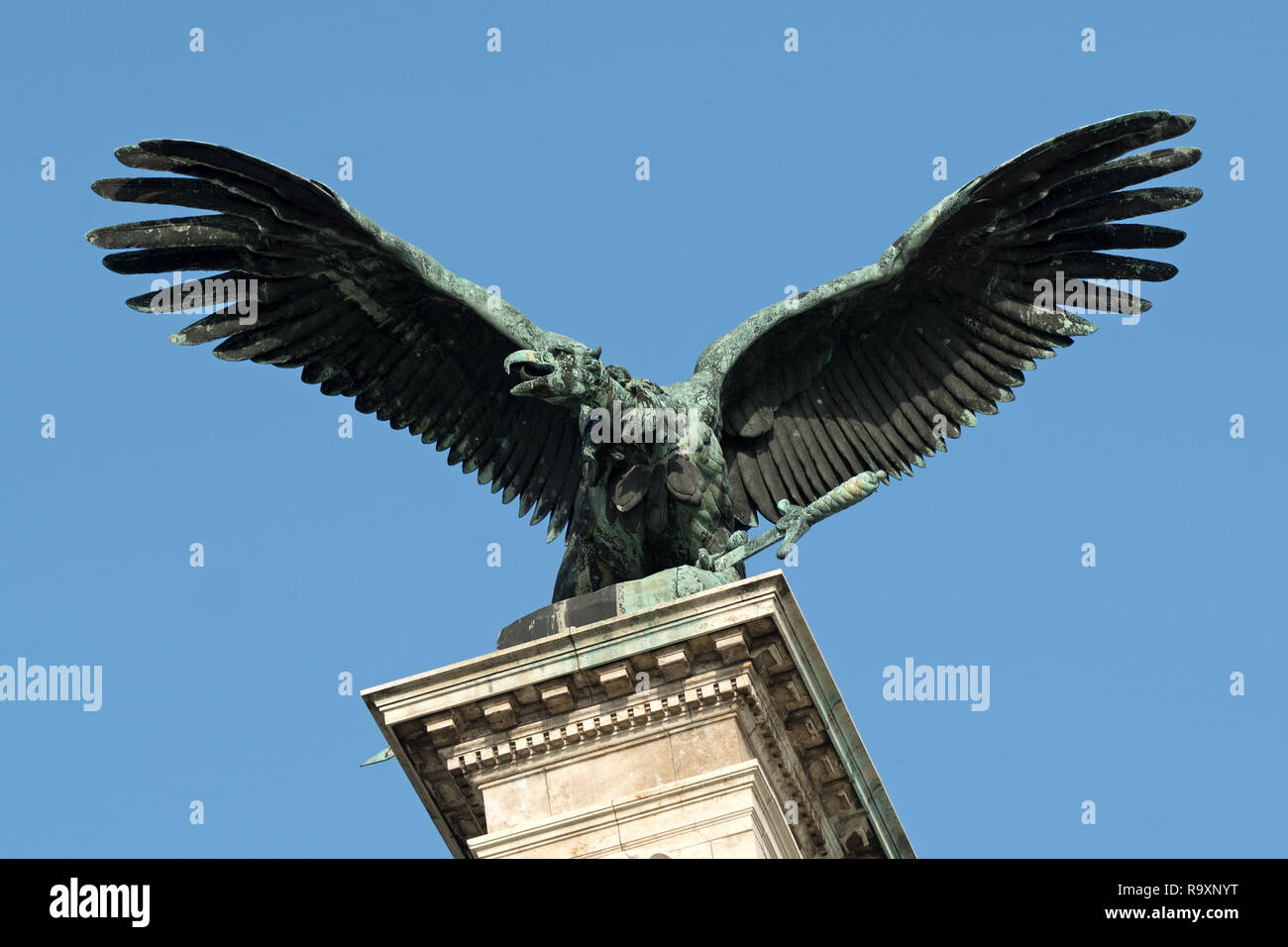 Turul birds hi-res stock photography and images - Alamy