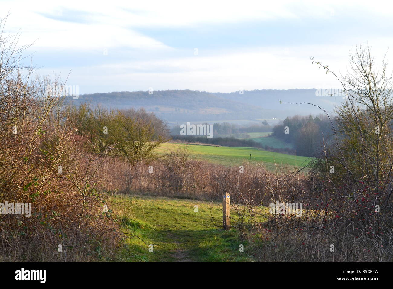 Winter afternoon views of Lullingstone Country Park near Sevenoaks ...