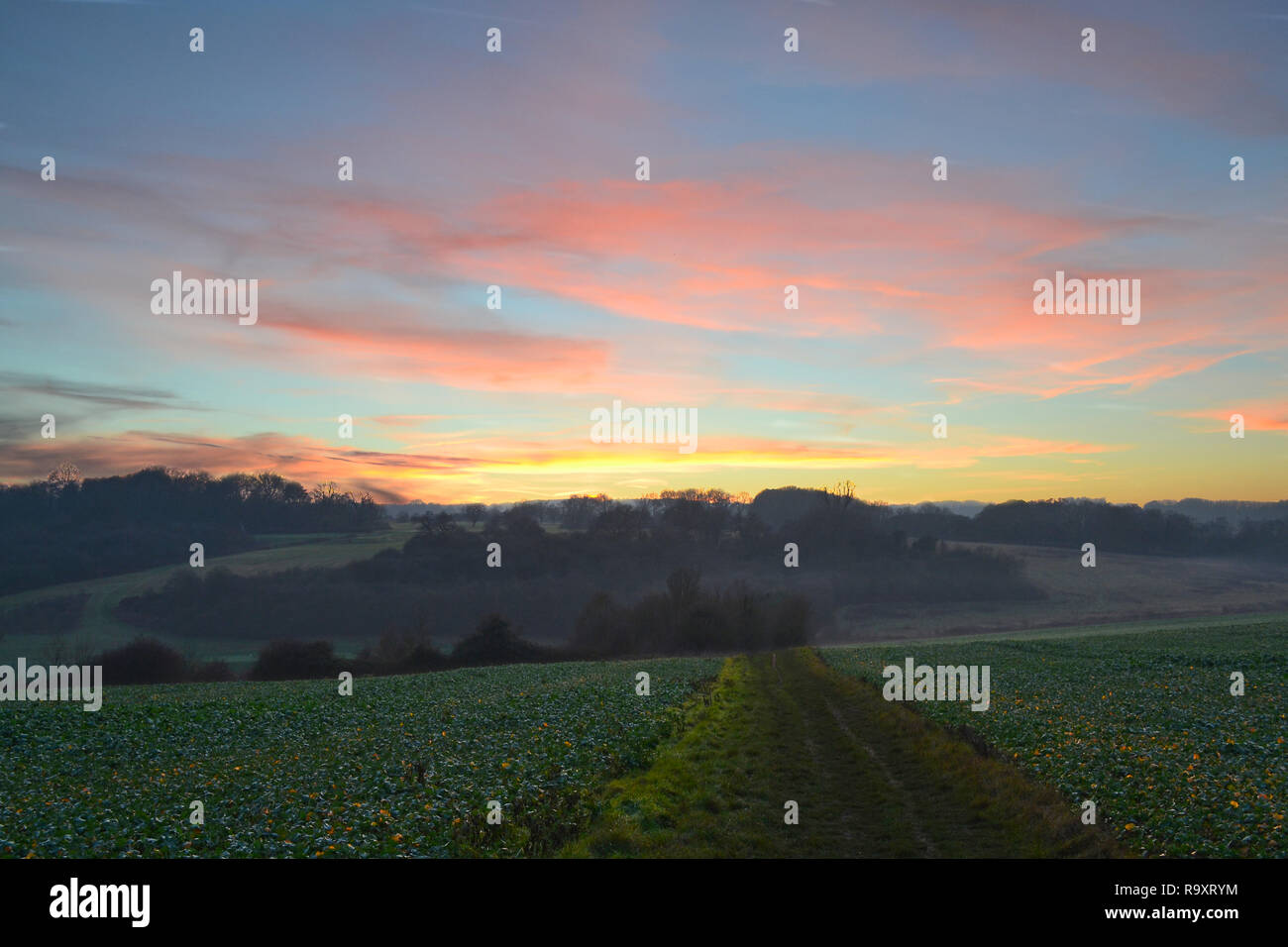 Winter view of Lullingstone Country Park nr Sevenoaks, Kent, in the ...