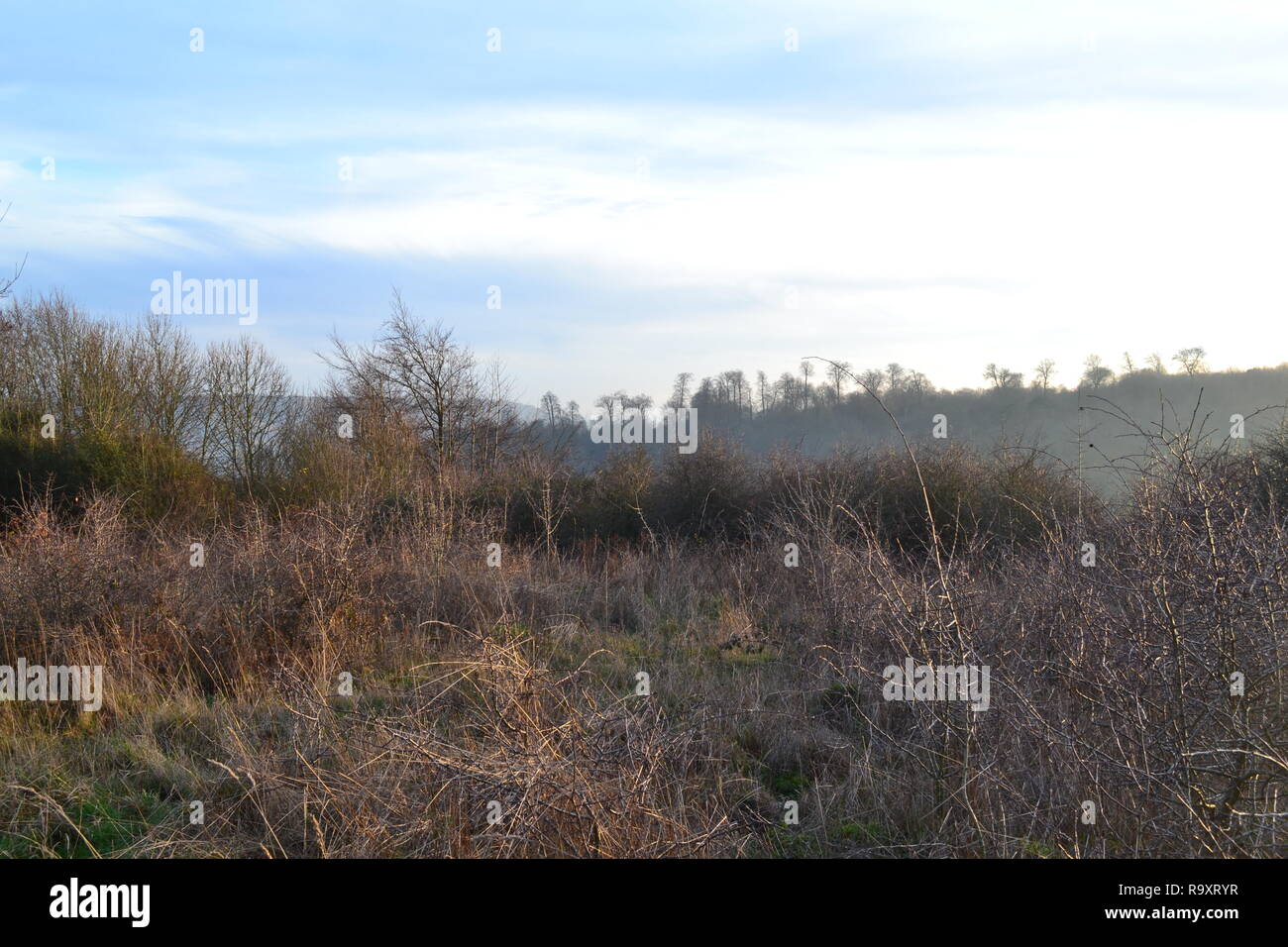 Winter afternoon views of Lullingstone Country Park near Sevenoaks ...