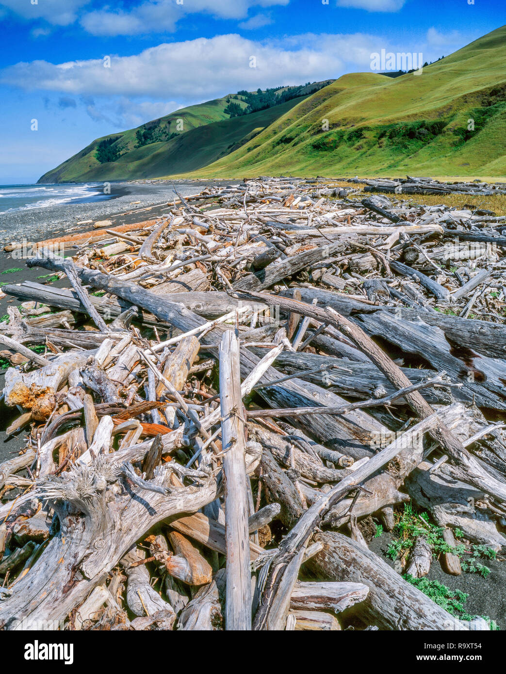 Nca hi-res stock photography and images - Alamy