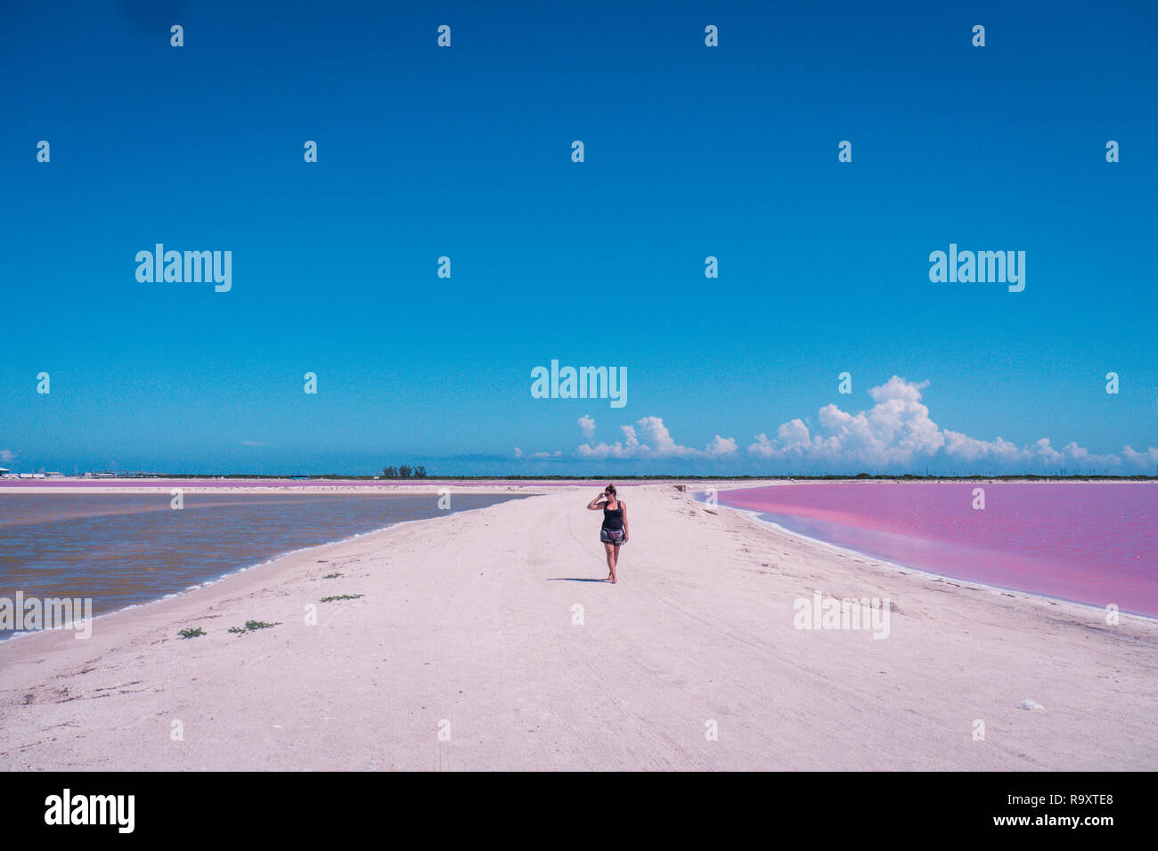 Exploring Pink Salt Farming, Las Coloradas, Mexico Stock Photo - Alamy