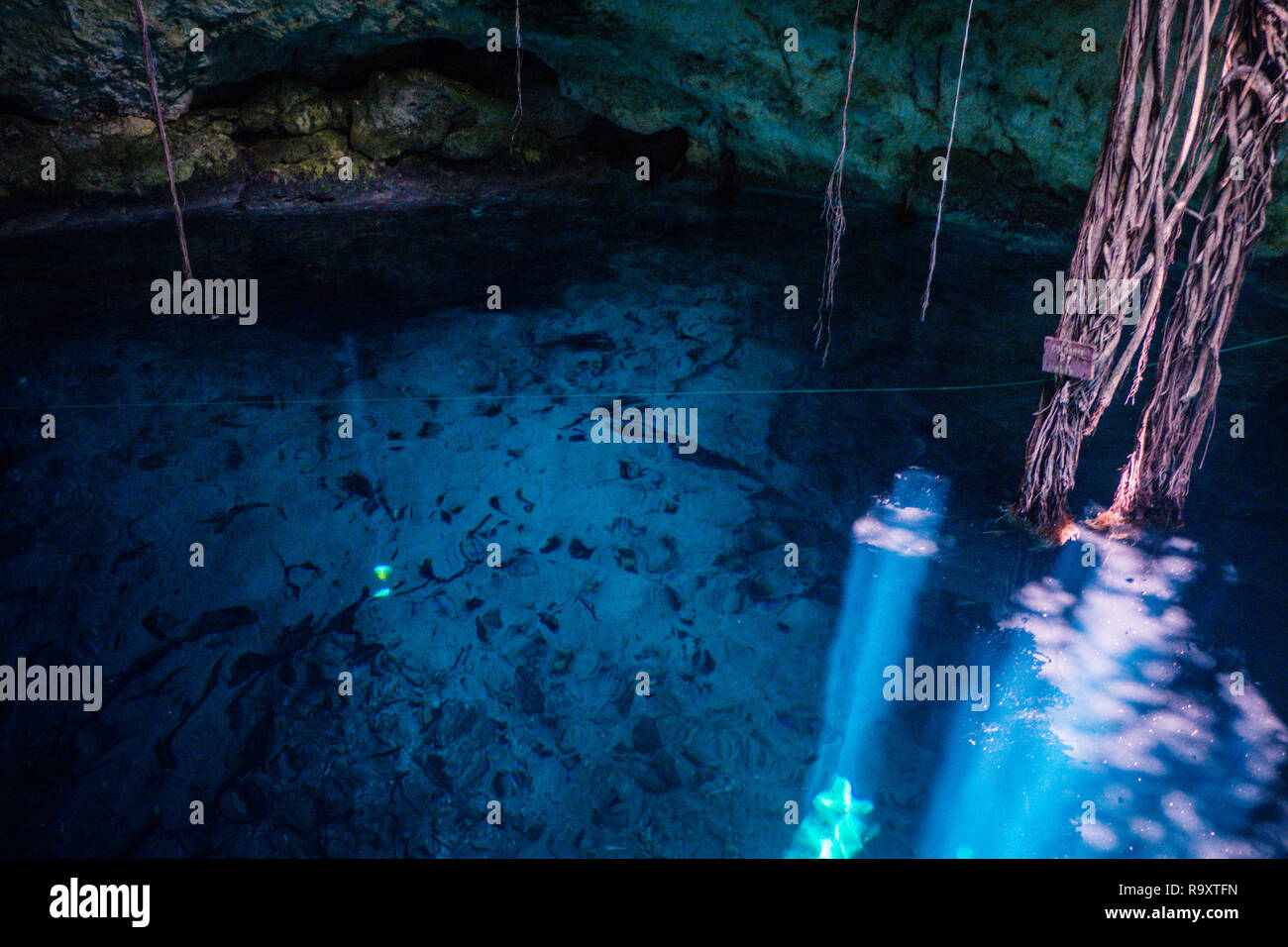 Cuzama Cenotes, Mexico Stock Photo - Alamy