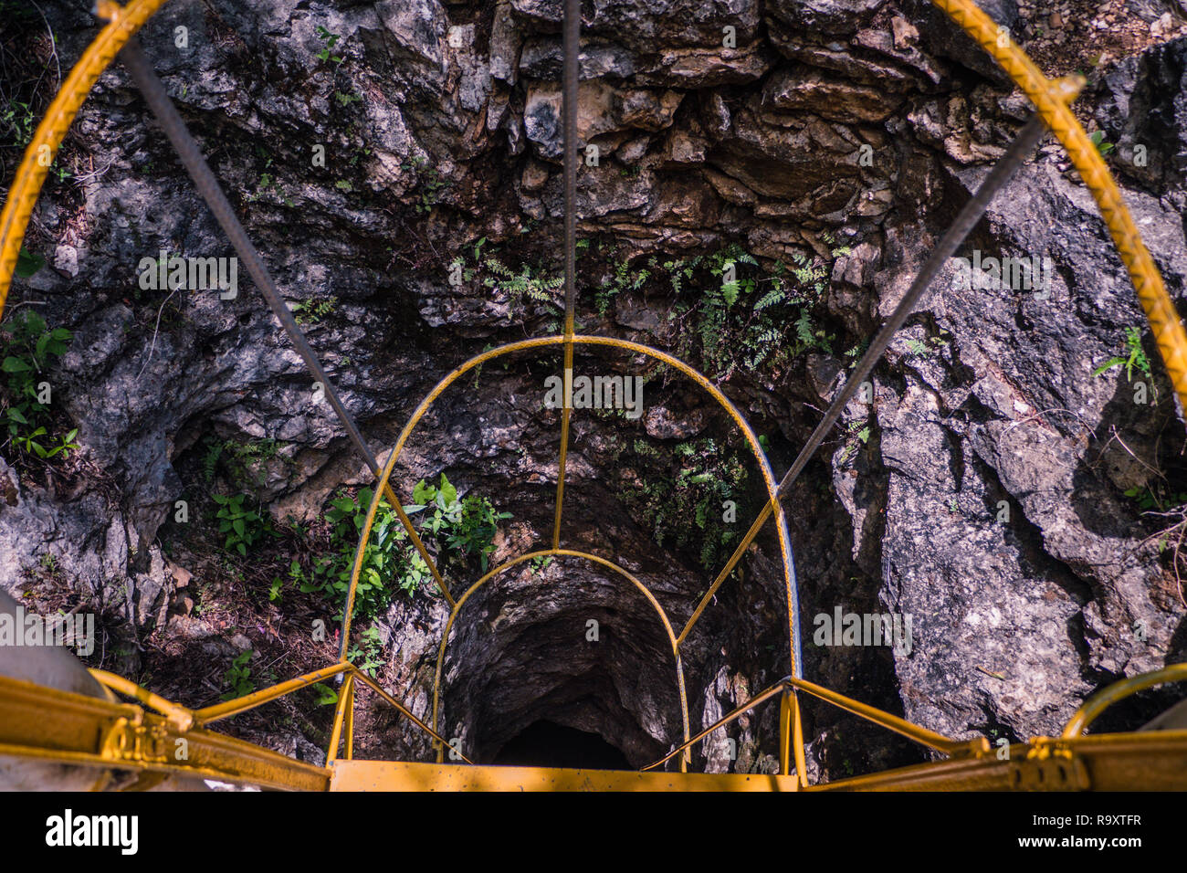 Cuzama Cenotes, Mexico Stock Photo - Alamy