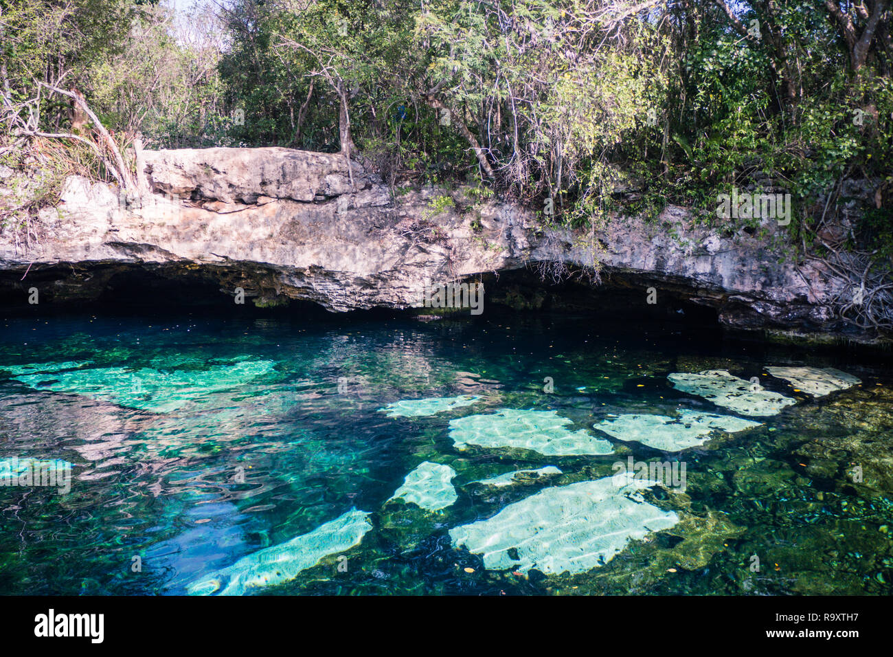 Cenote, Tulum, Mexico Stock Photo - Alamy