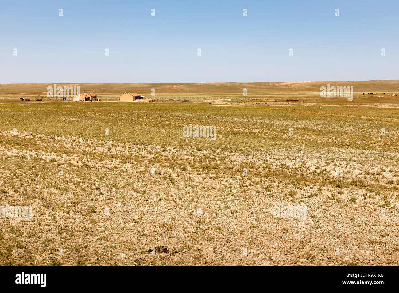 houses in the Gobi Desert, Inner Mongolia, China, beautiful landscape ...