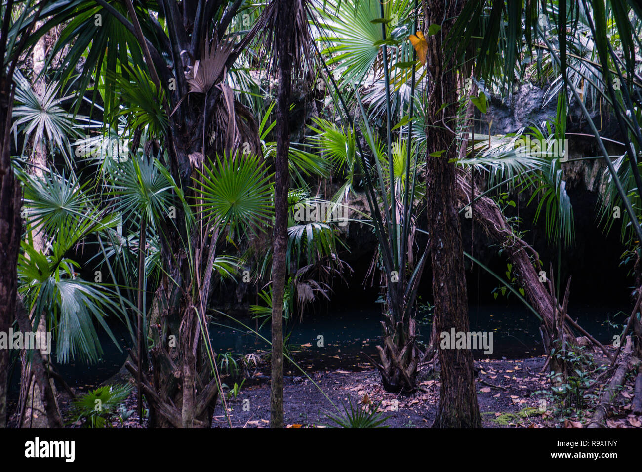 Jade cavern hi-res stock photography and images - Alamy