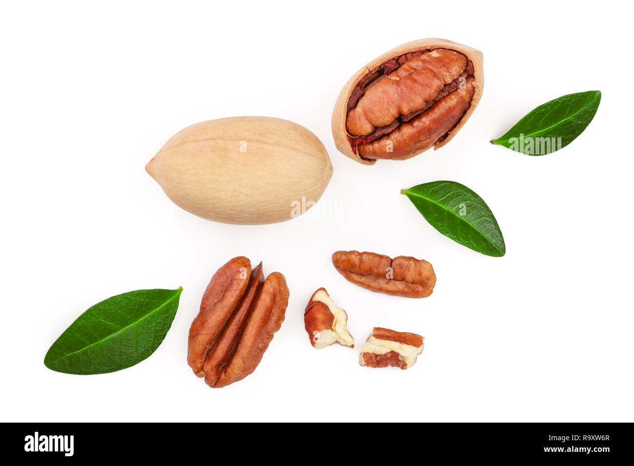 pecan nut decorated with green leaves isolated on white background. Top ...