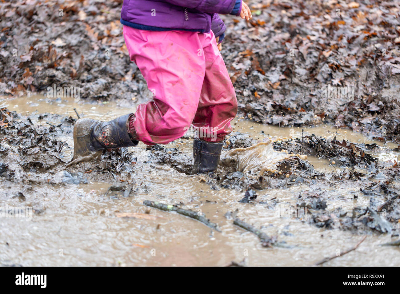 Wellington In A Muddy Puddle High Resolution Stock Photography and ...