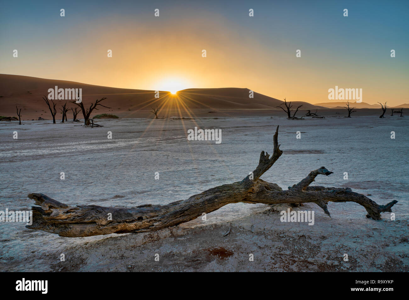 Star dune namibia hi-res stock photography and images - Alamy