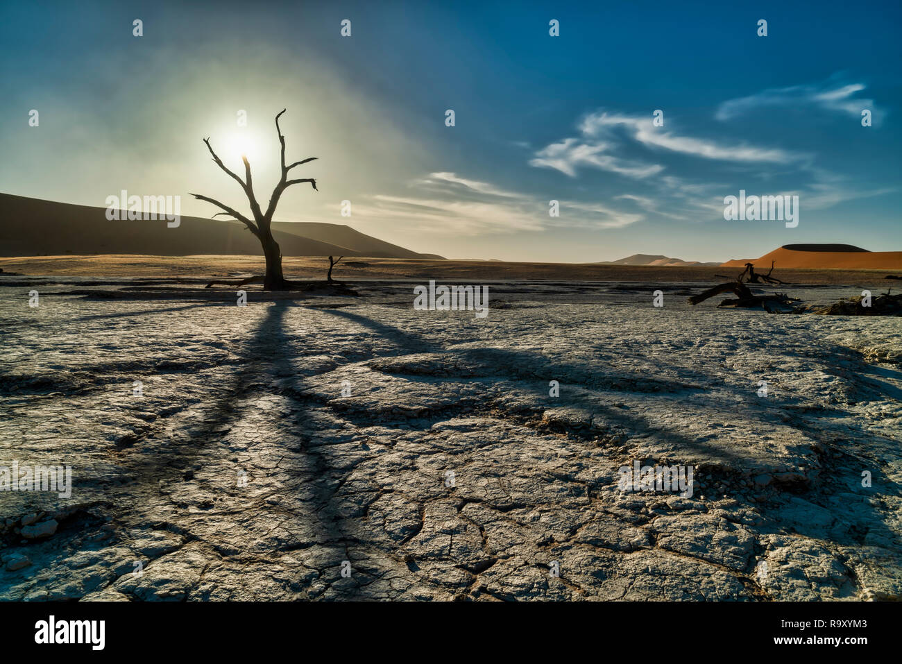 Parched park hi-res stock photography and images - Alamy