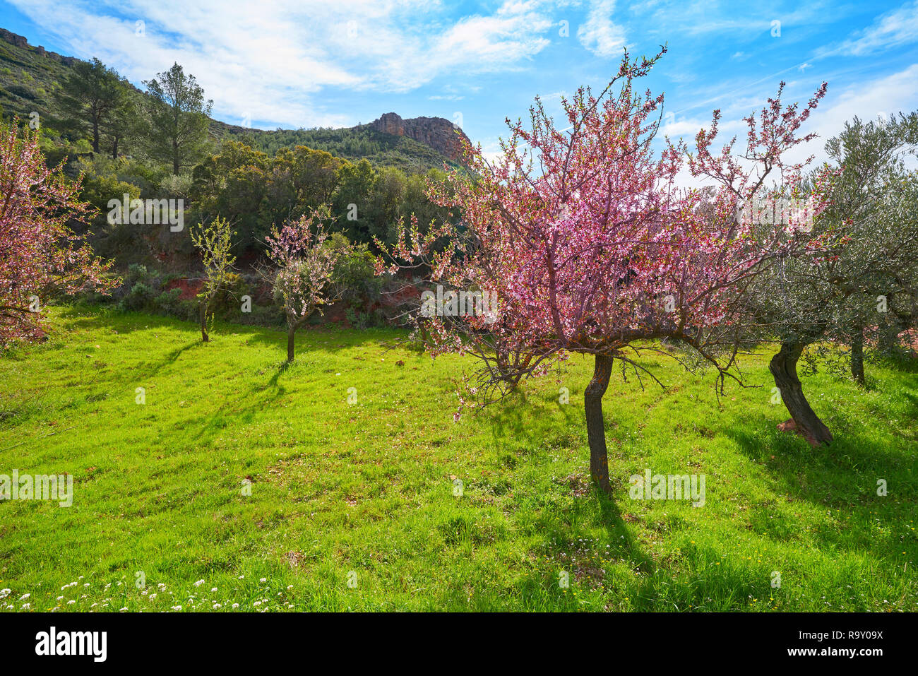 Gatova village in Calderona Sierra of Spain at Valencia Stock Photo - Alamy