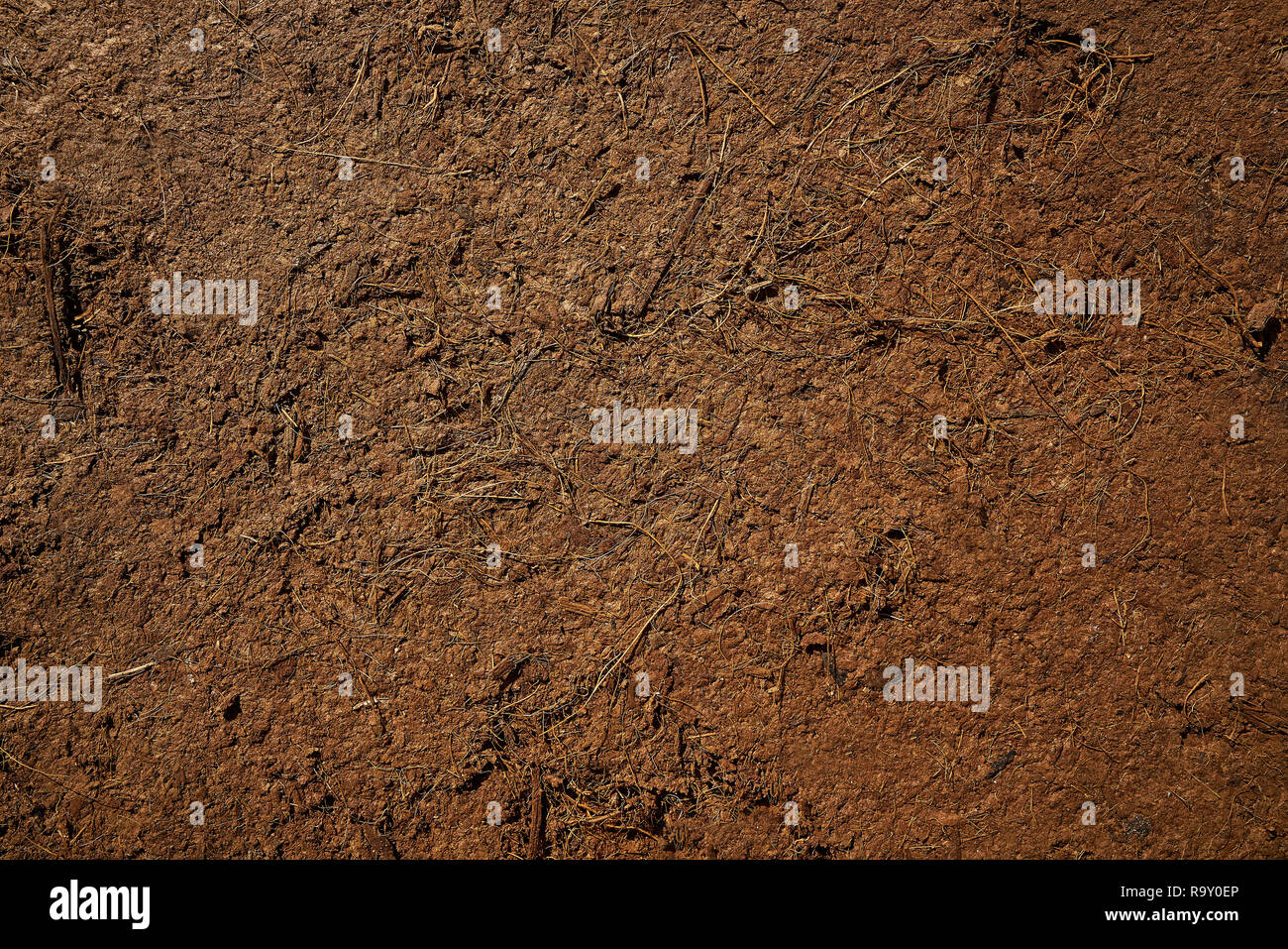 Substratum texture pattern background for garden agriculture Stock ...