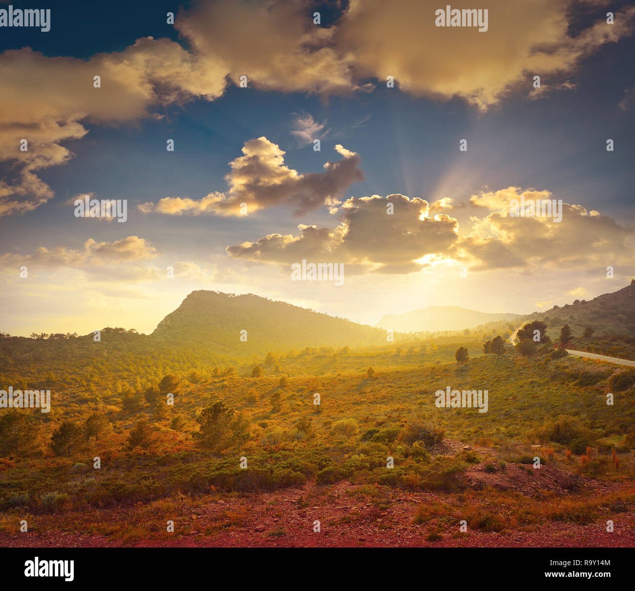 Sierra calderona natural park High Resolution Stock Photography and ...