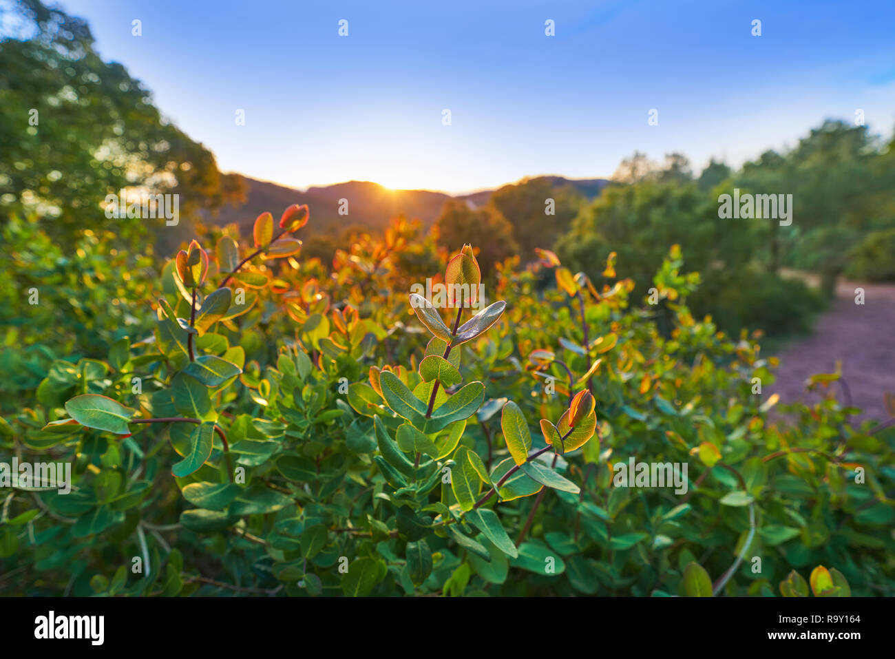 Sierra calderona natural park hi-res stock photography and images - Alamy