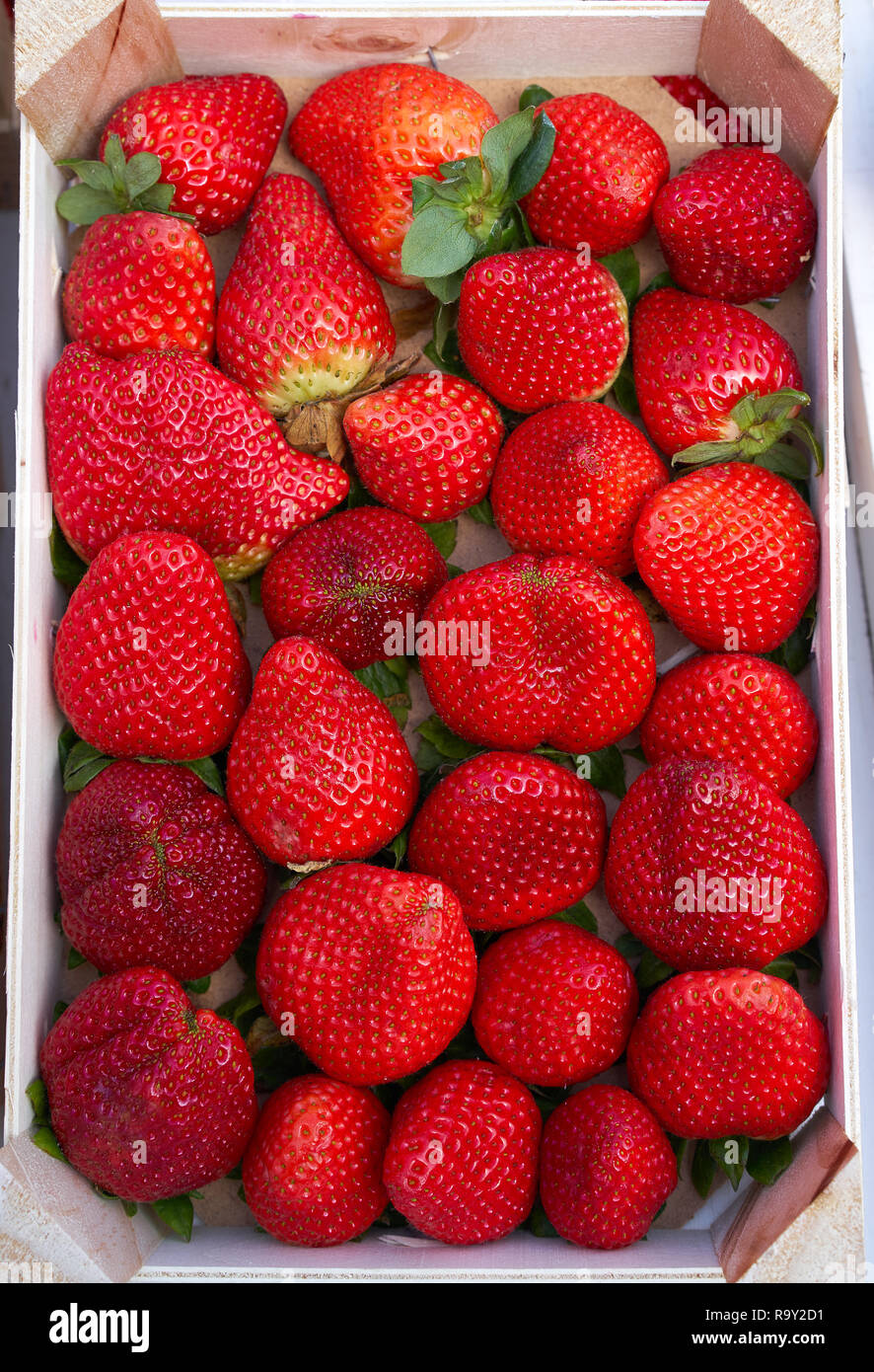 Strawberries in boxes at outdoor market Stock Photo - Alamy