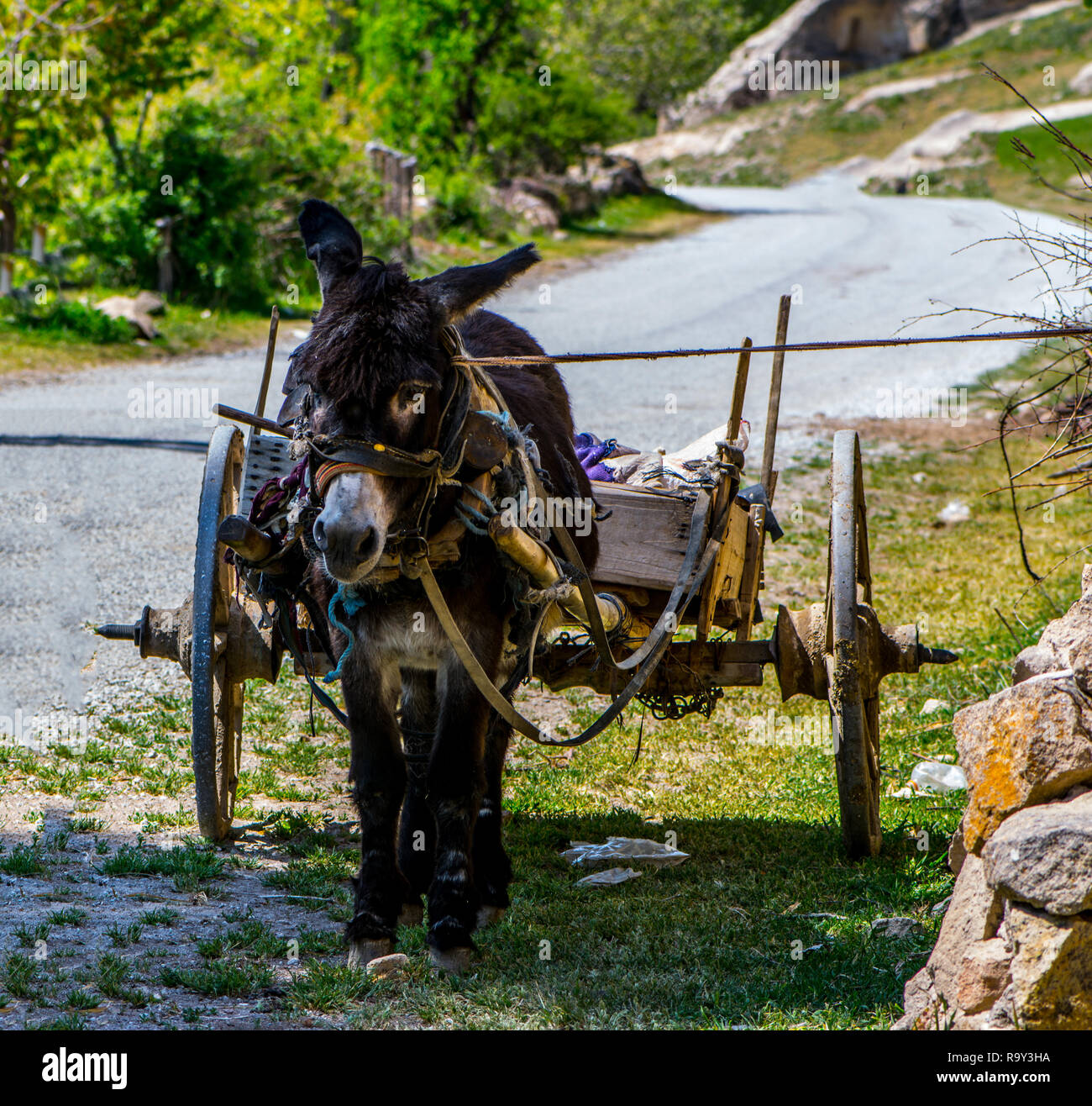 Donkey with trailer hi-res stock photography and images - Alamy