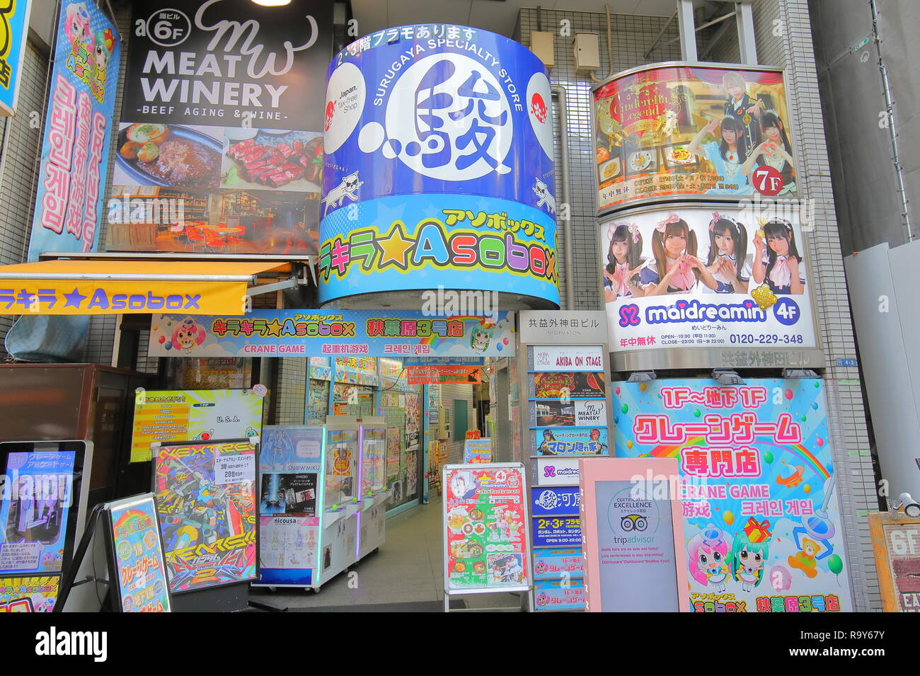 Akihabara Japanese animation shop in Tokyo Japan Stock Photo - Alamy