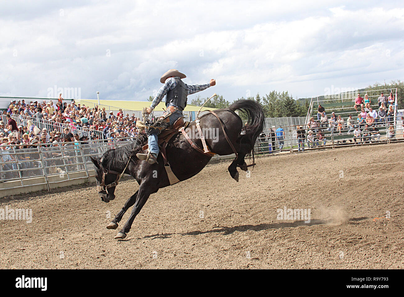 Rodeo in alberta hi-res stock photography and images - Alamy