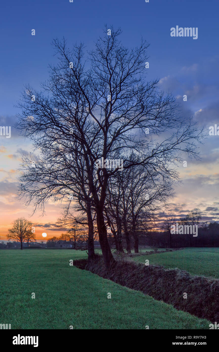 Belgium flanders field hi-res stock photography and images - Alamy