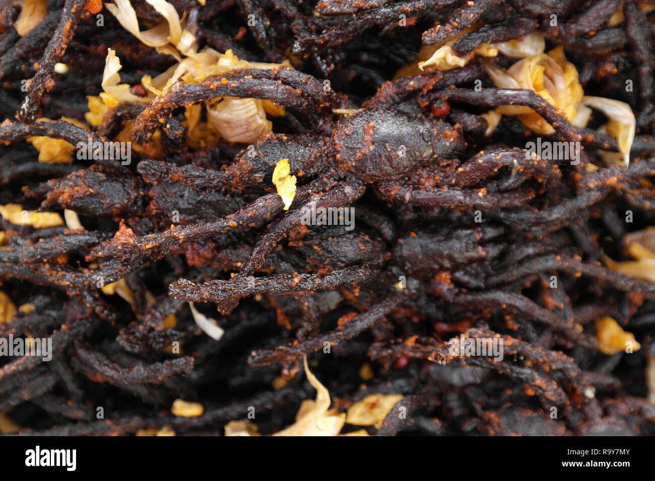 Fried spiders, Cambodia Stock Photo - Alamy