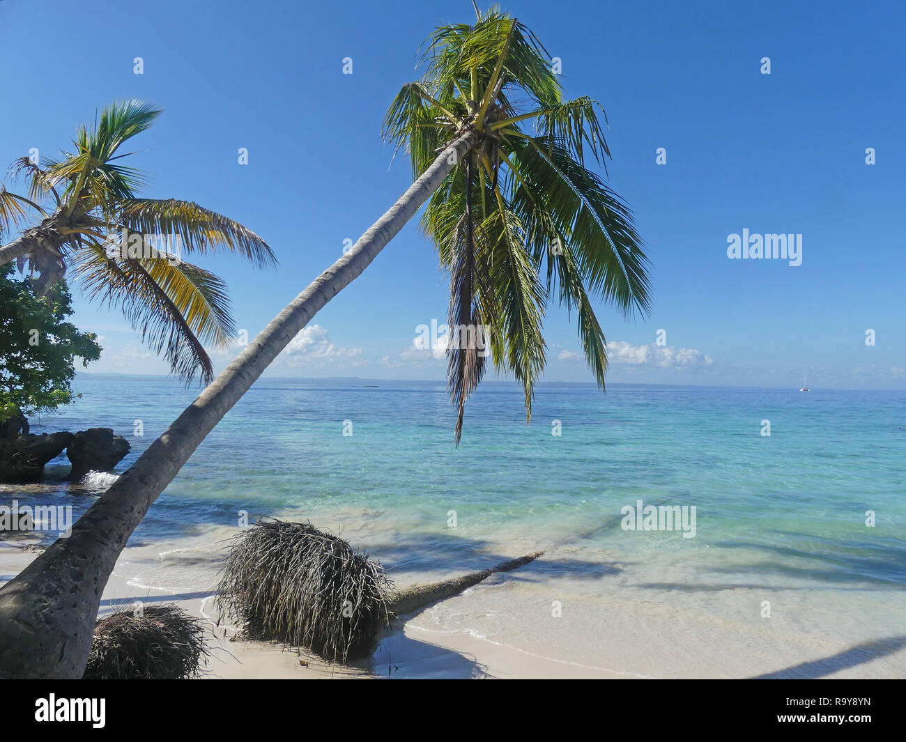 BEACH on east coast of Dominican Republic. Photo: Tony Gale Stock Photo ...