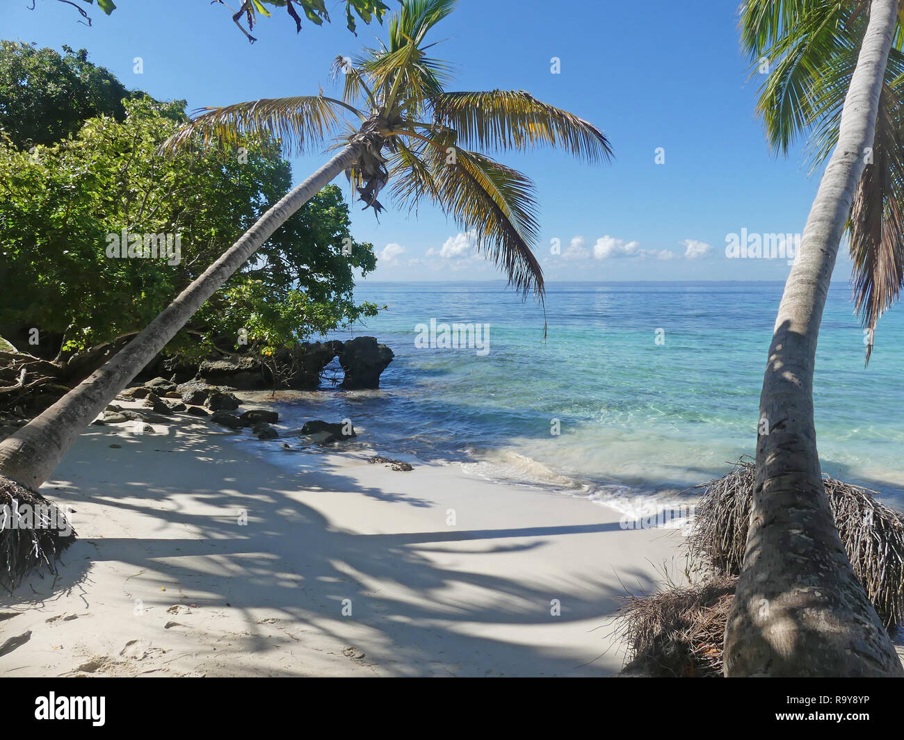 BEACH on east coast of Dominican Republic. Photo: Tony Gale Stock Photo ...
